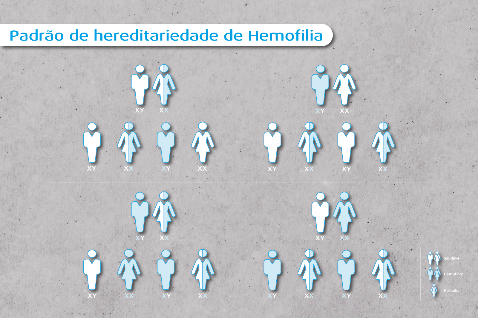 Hemofilia: o que é, tipos, sintomas e tratamentos - Vale do Sousa Saúde